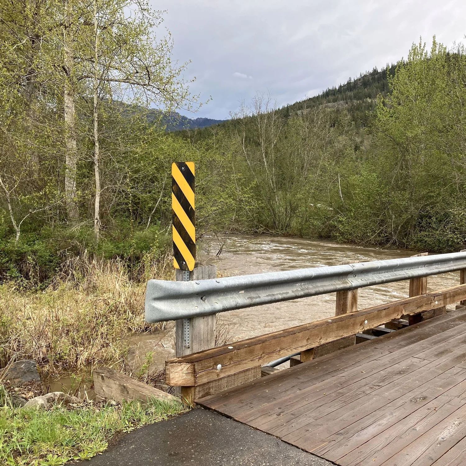 River levels holding, Shuswap Lake sees rapid rise — North Shuswap Kicker