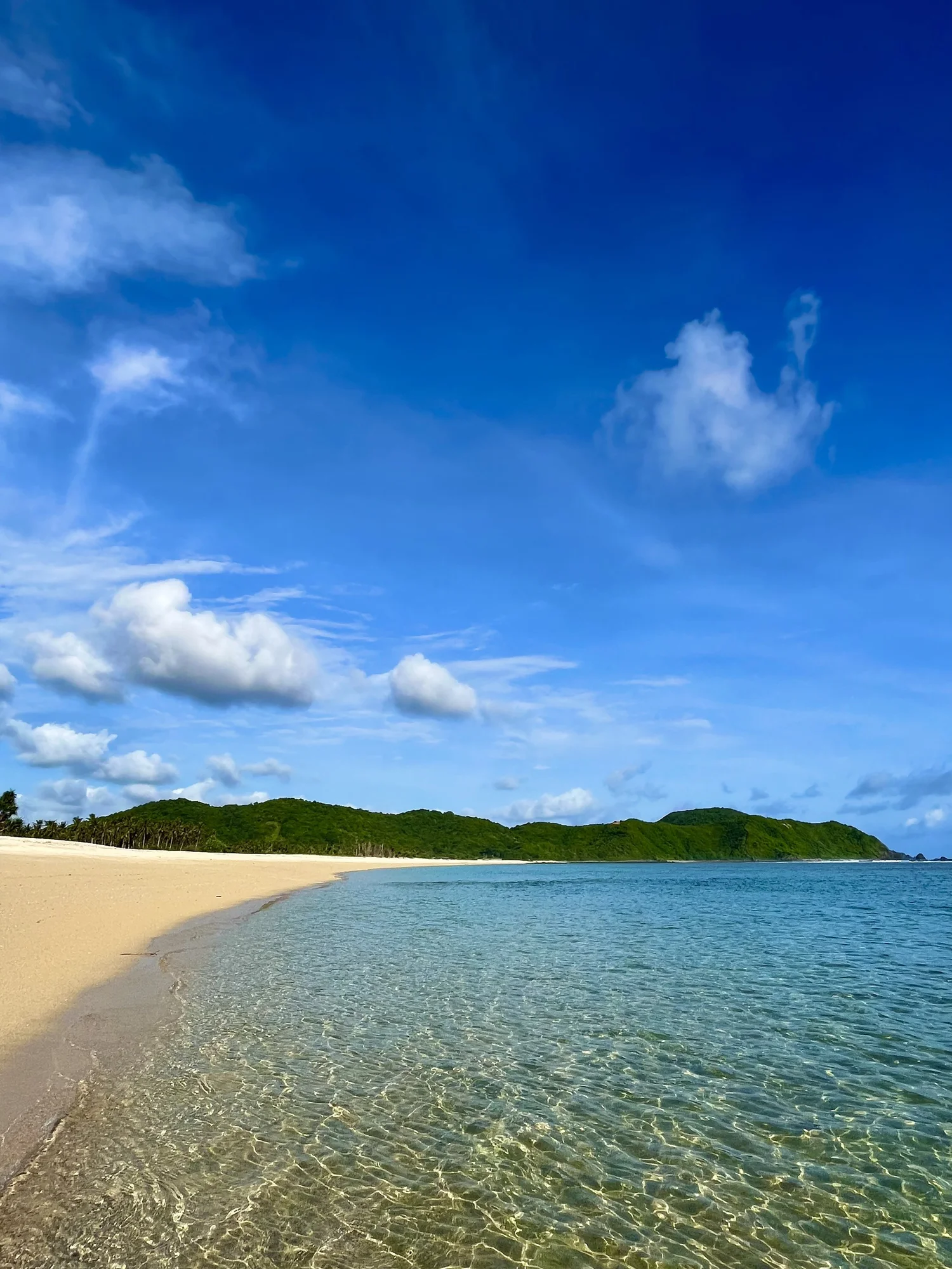 Highlights — Adam Radcliffe