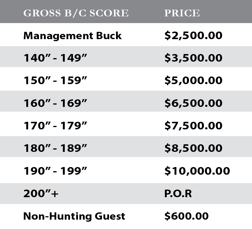 WHITETAIL DEER HUNTING — Double J Ranch