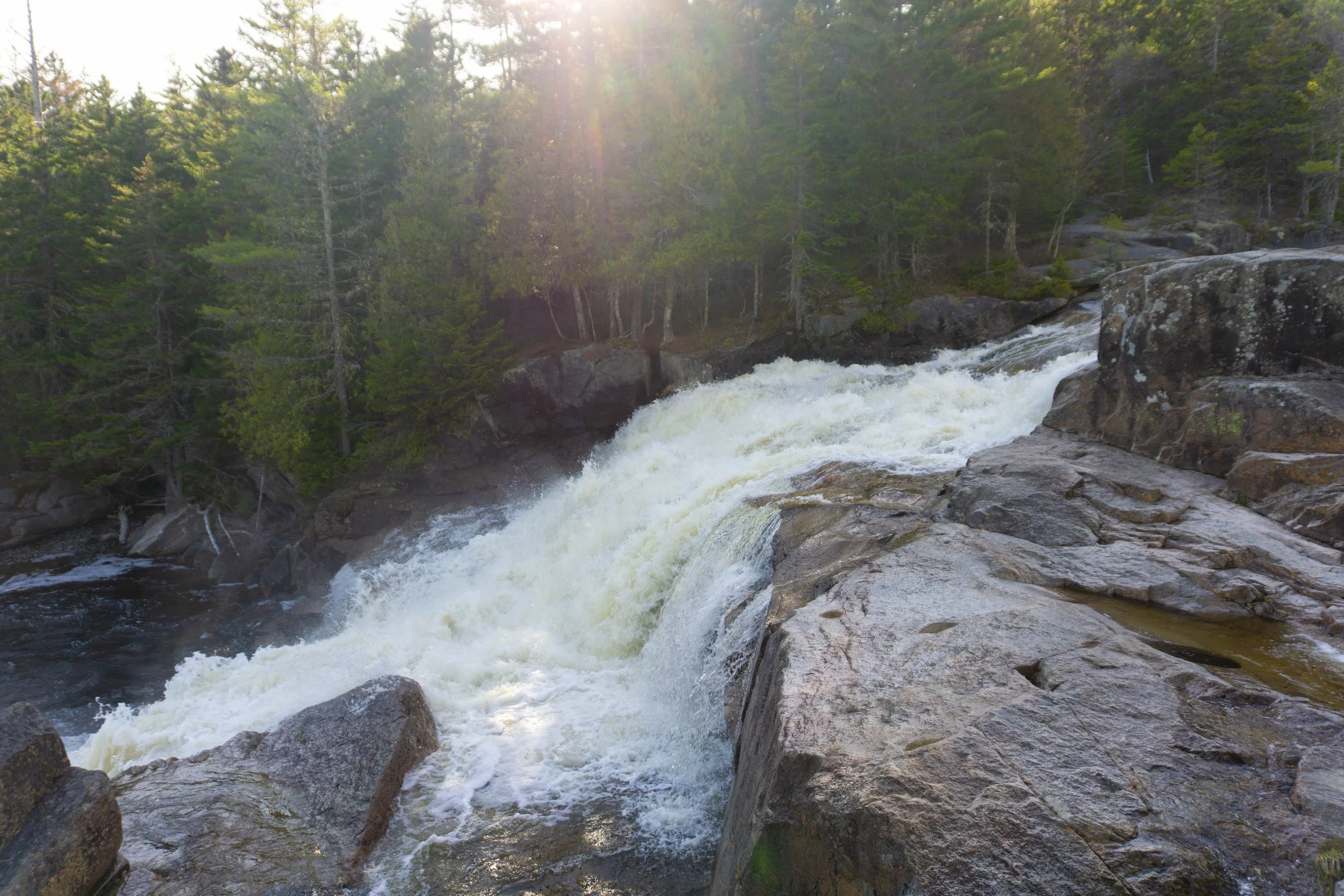 General 1 — Friends of Baxter State Park
