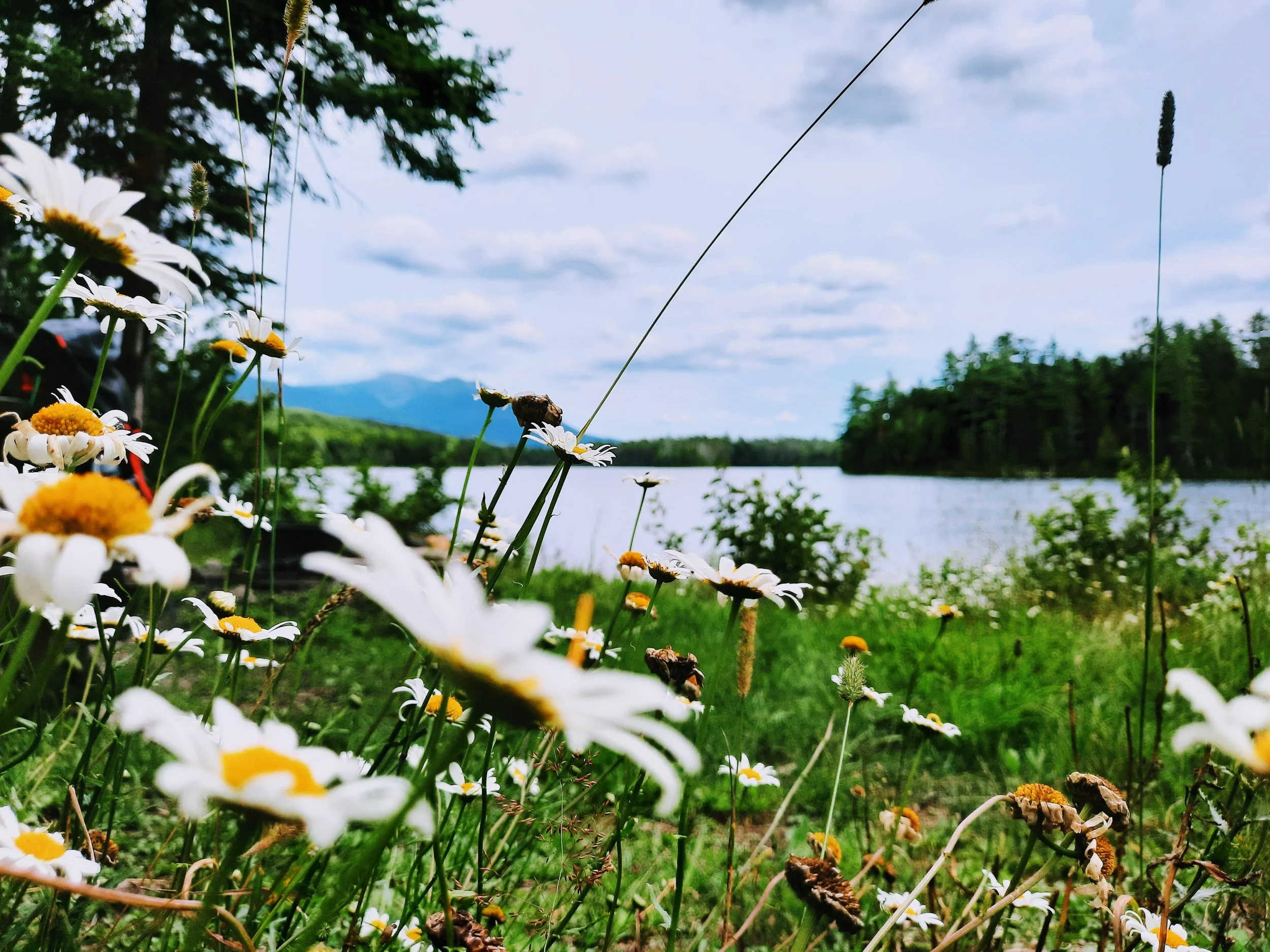 Visiting the Park — Friends of Baxter State Park