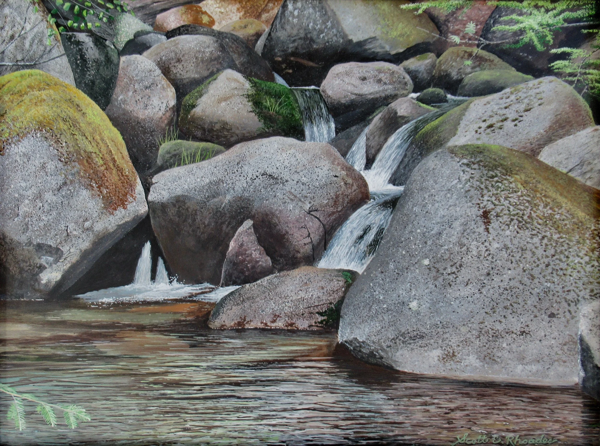 Artists — Friends of Baxter State Park