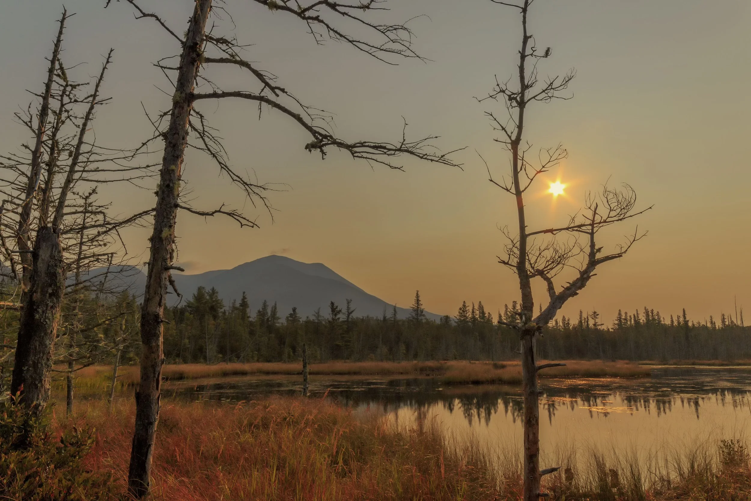 Donate — Friends of Baxter State Park