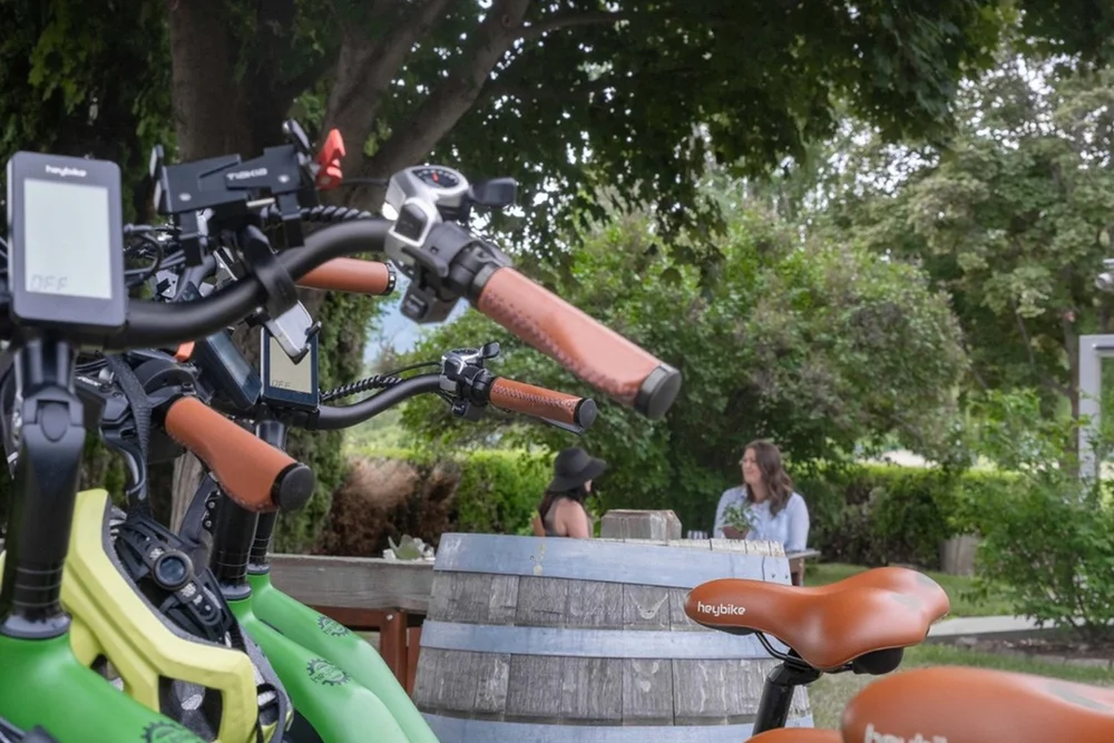 Kelowna E-Bike Wine Tour — Lakeside Eco-Sports