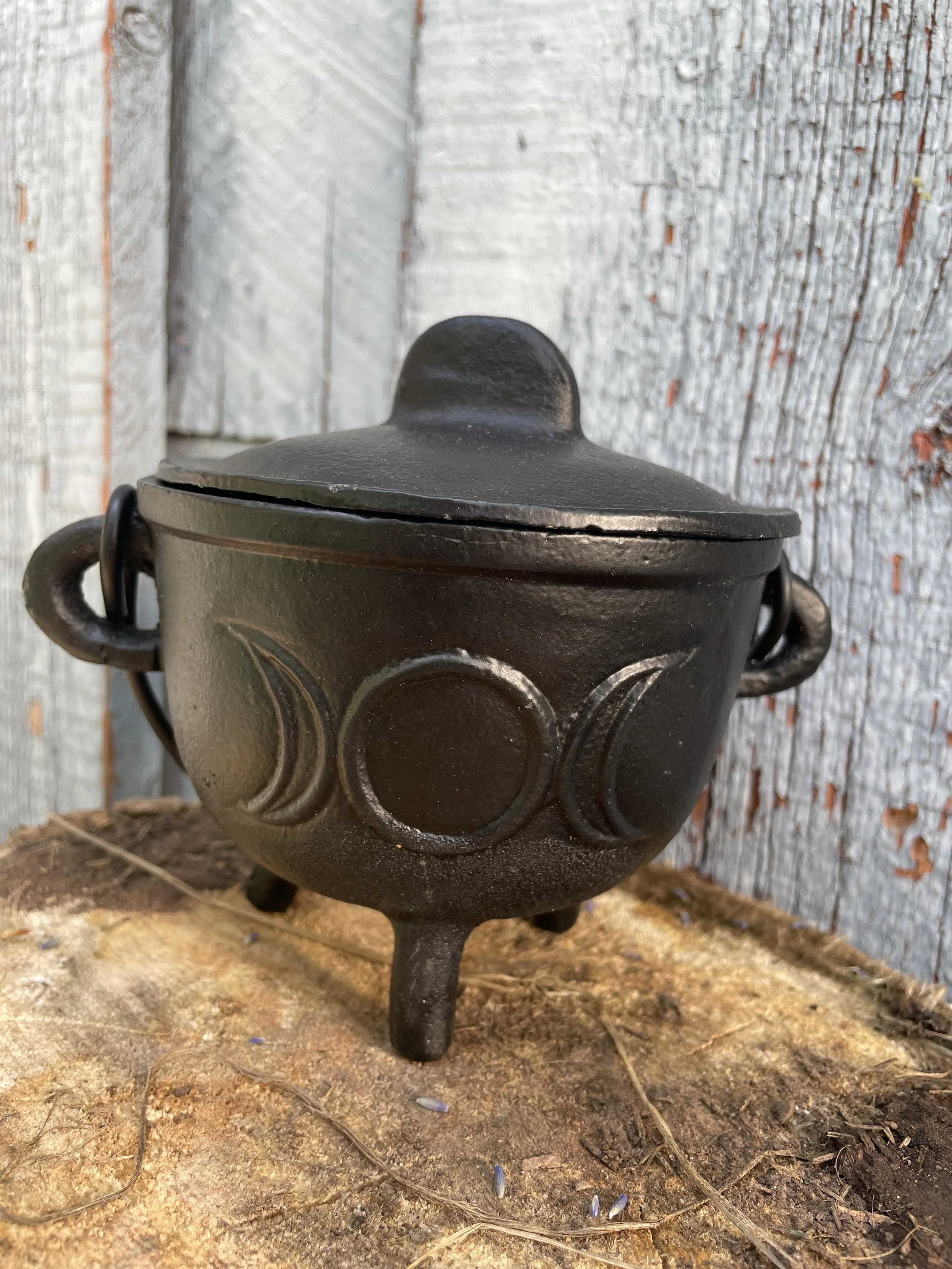 Store 1 — The Belden Witch