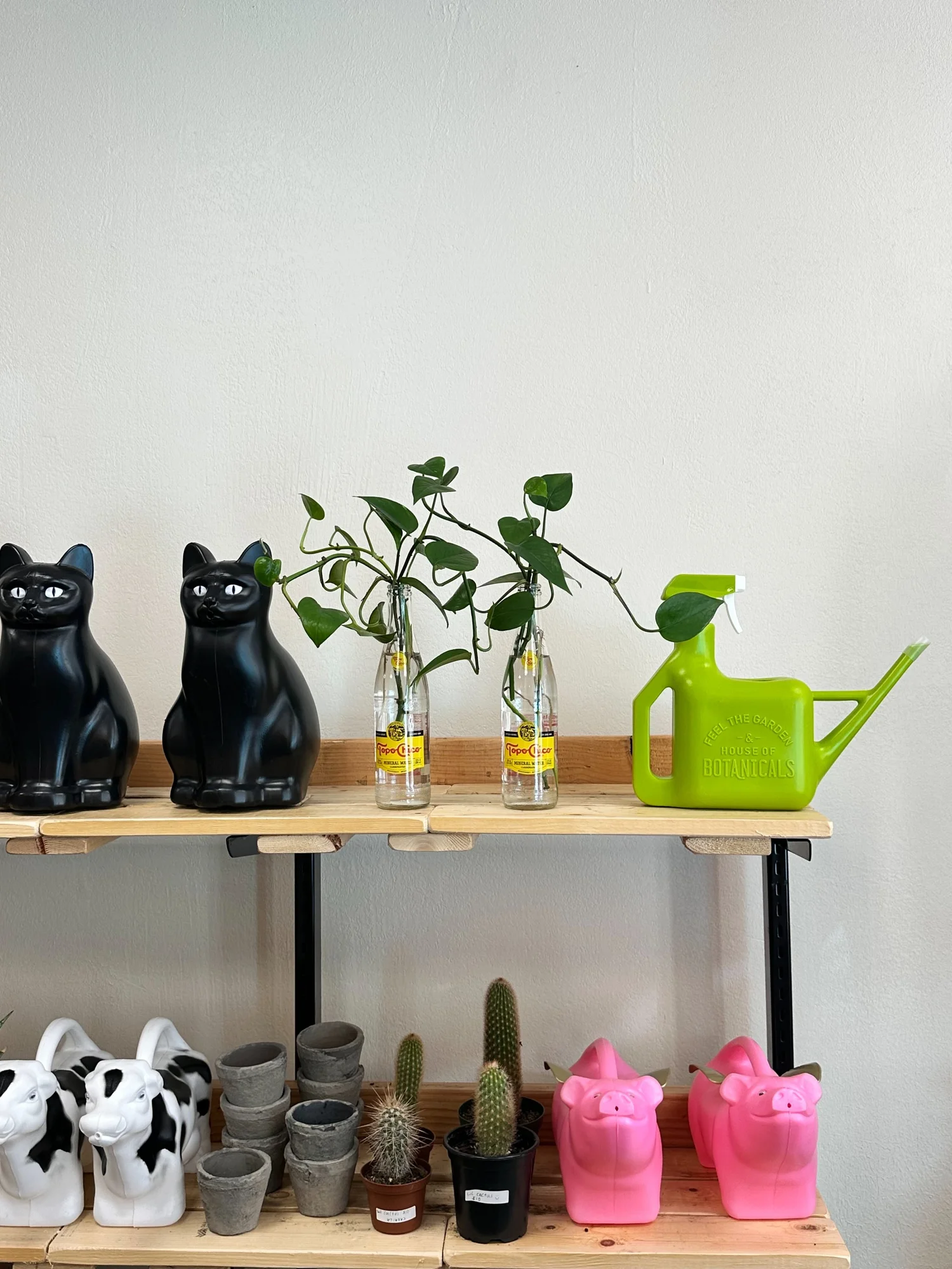 Gentle Bull Shop
