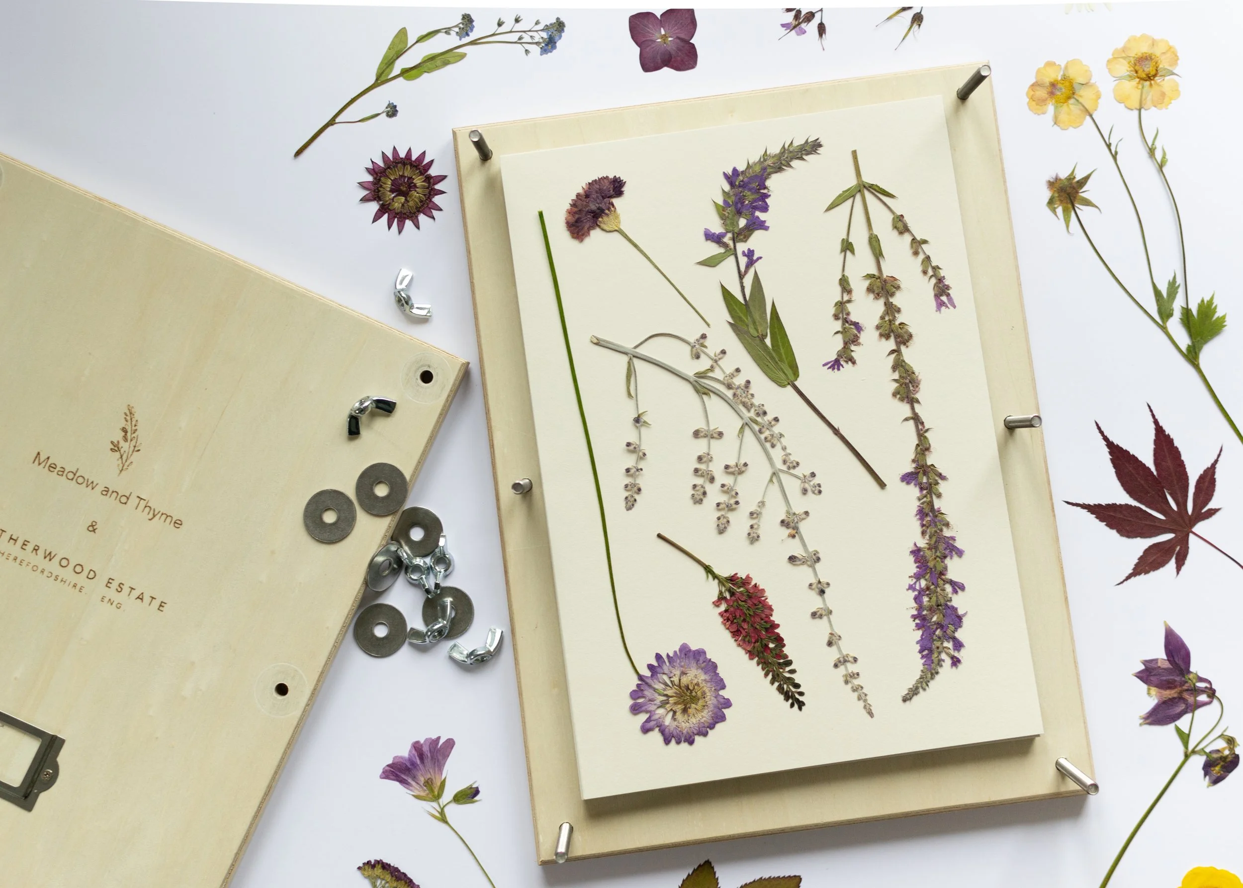 Buy a quality UK made traditional flower press, designed by Sarah ...