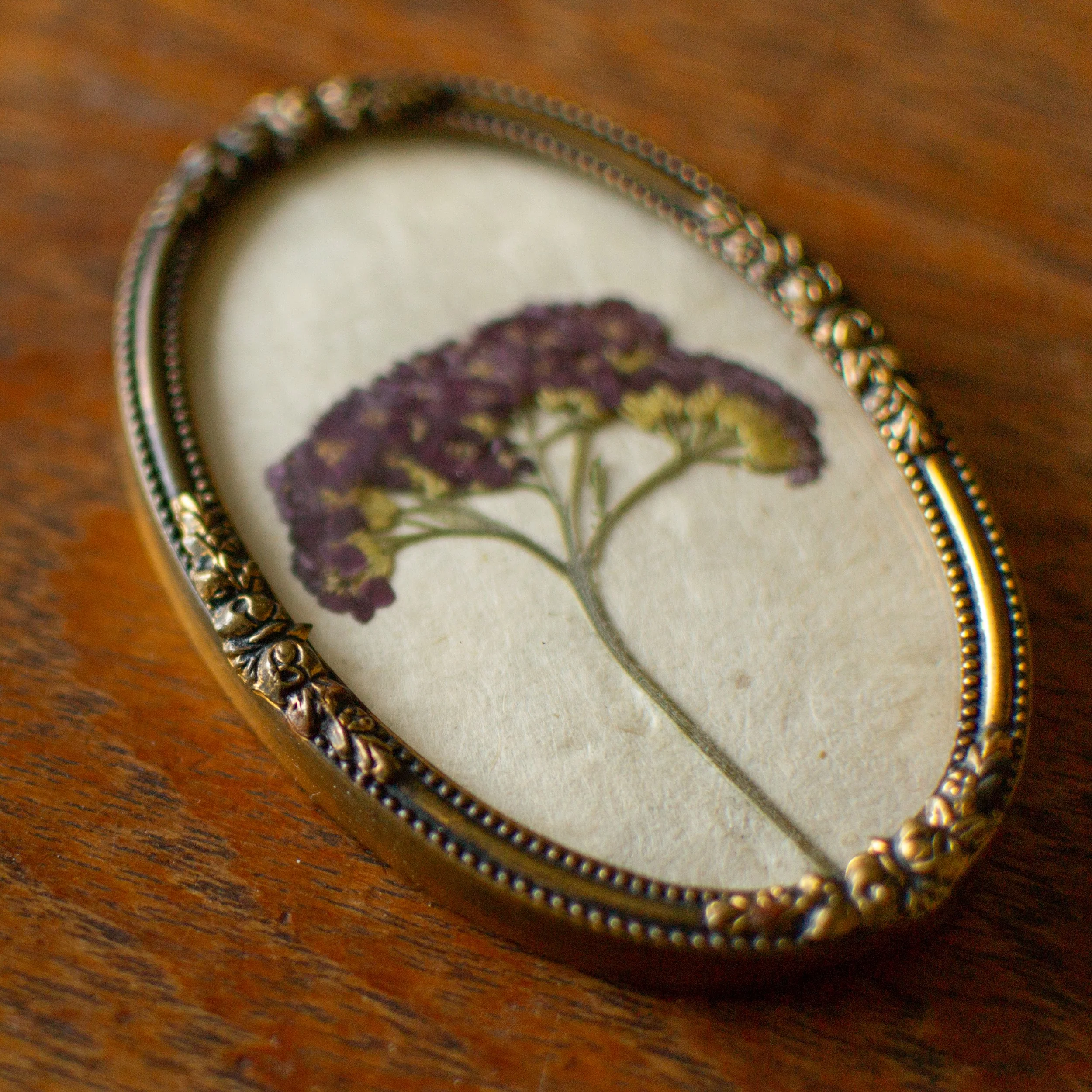 Vintage Collection - Linaria 01 | Meadow and Thyme | by Sarah Holland