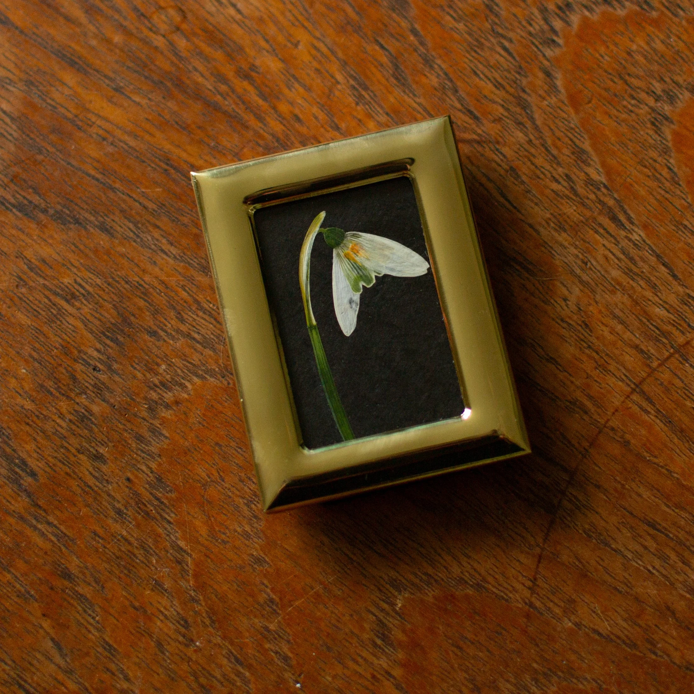 Vintage Collection - Linaria 01 | Meadow and Thyme | by Sarah Holland