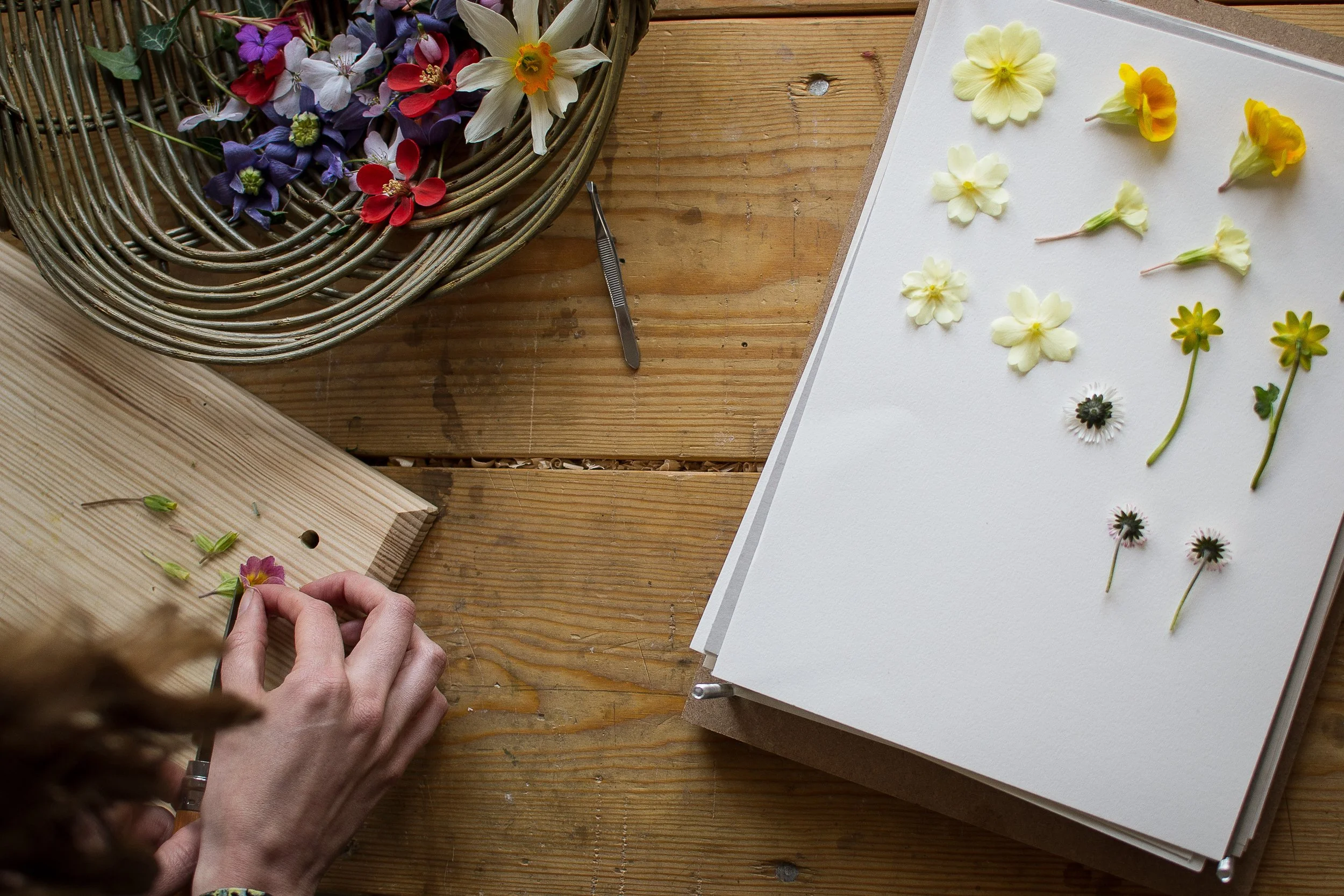 Process | Pressed Flower Artwork by Sarah Holland