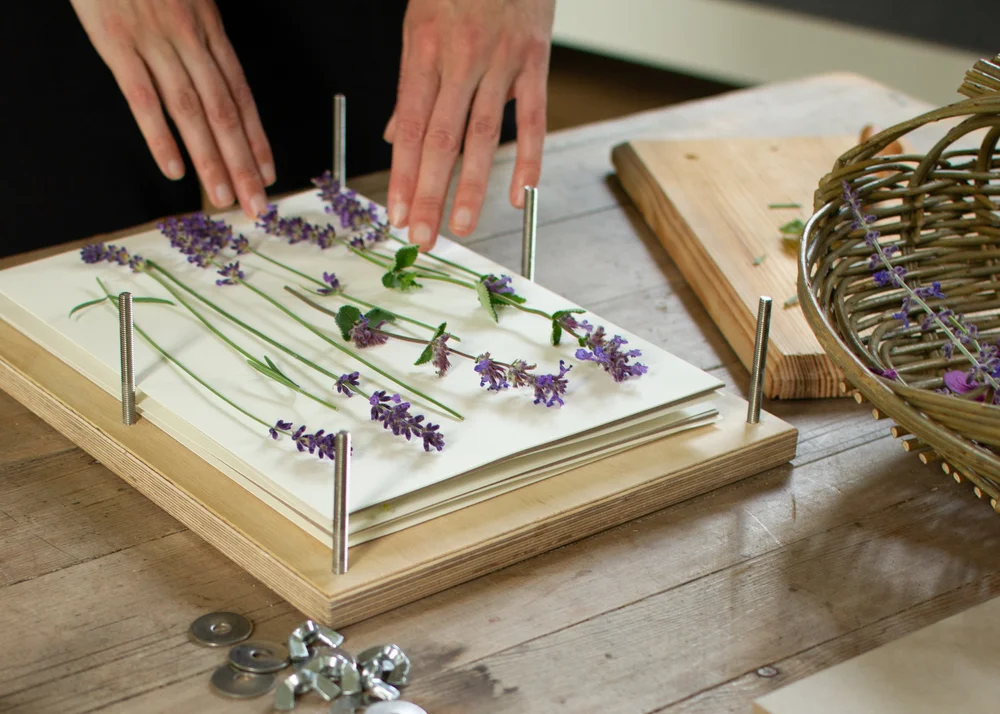 Process | Pressed Flower Artwork by Sarah Holland