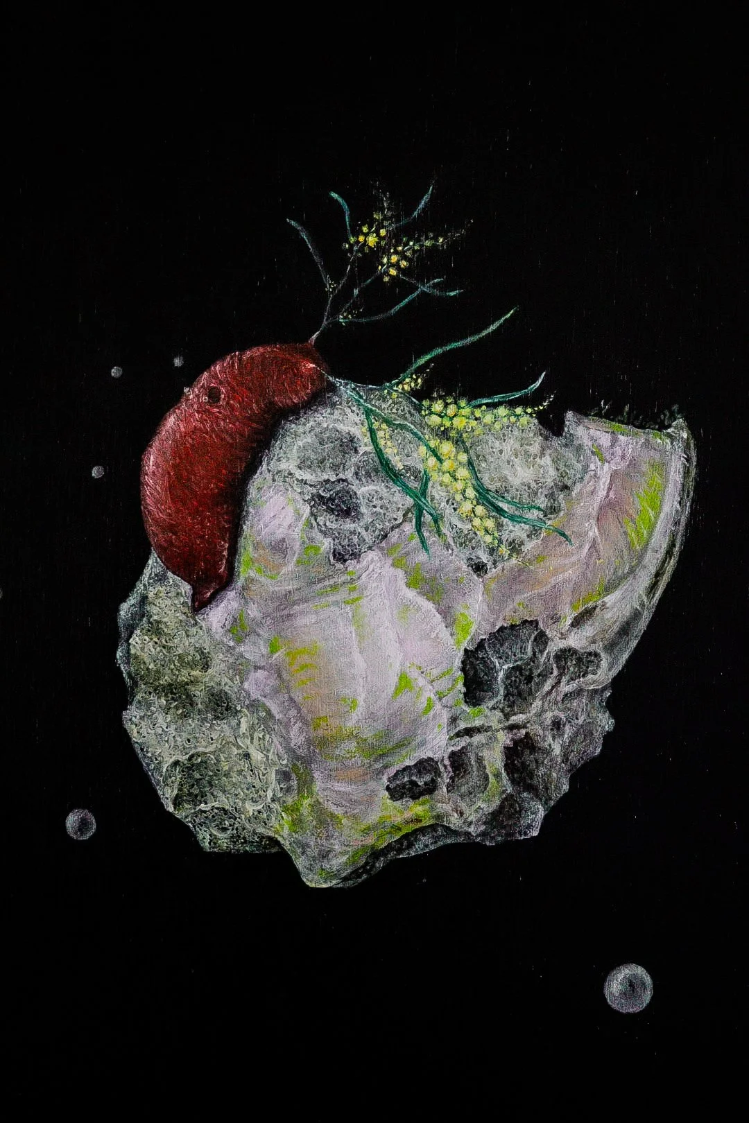 Australian — Massimiliano Aldini