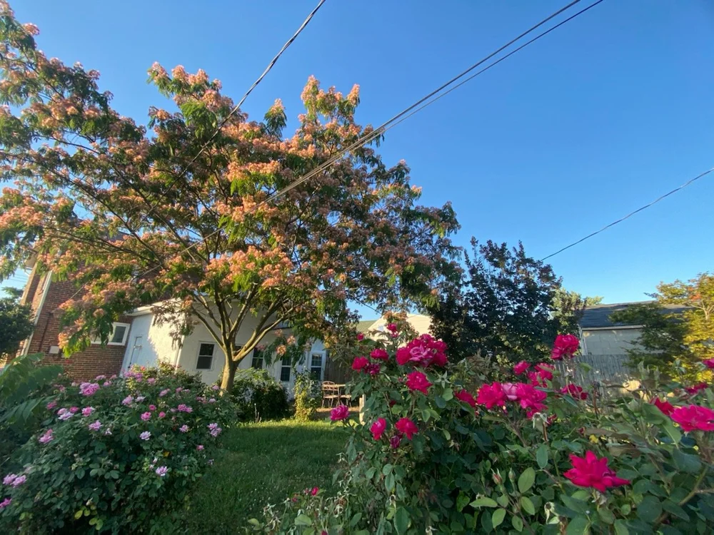 Services — Overcomers on the Move