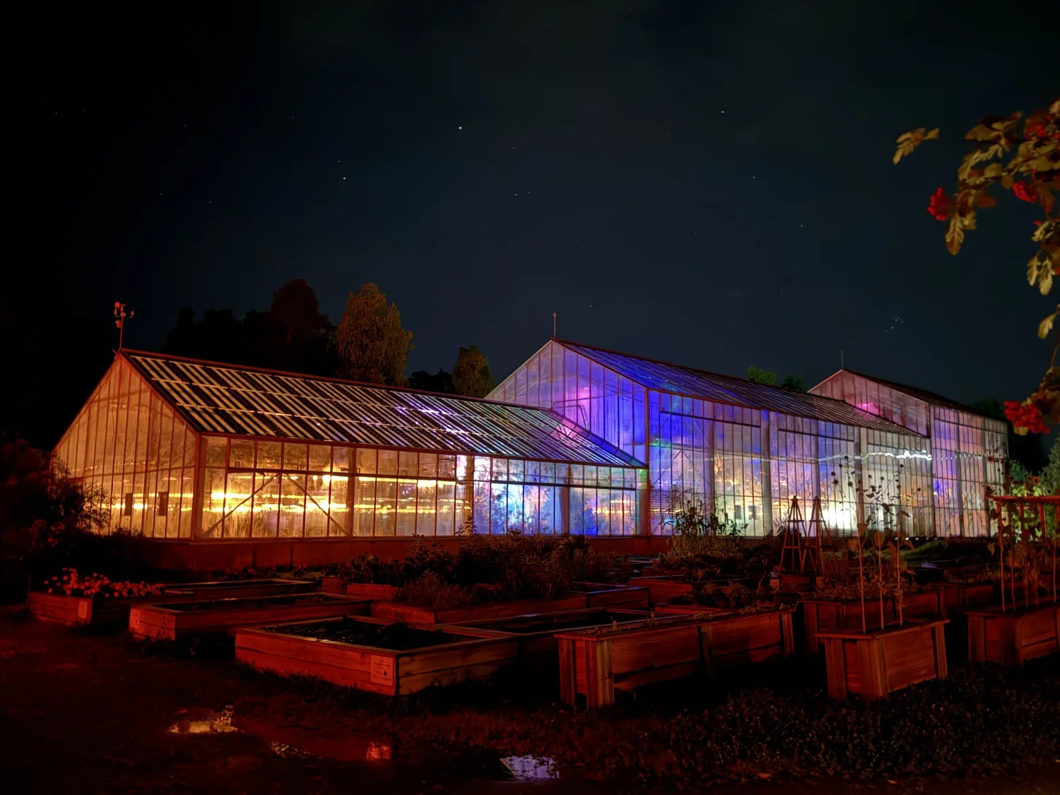 Tapahtumat | Botania Joensuu – Taidepuutarha