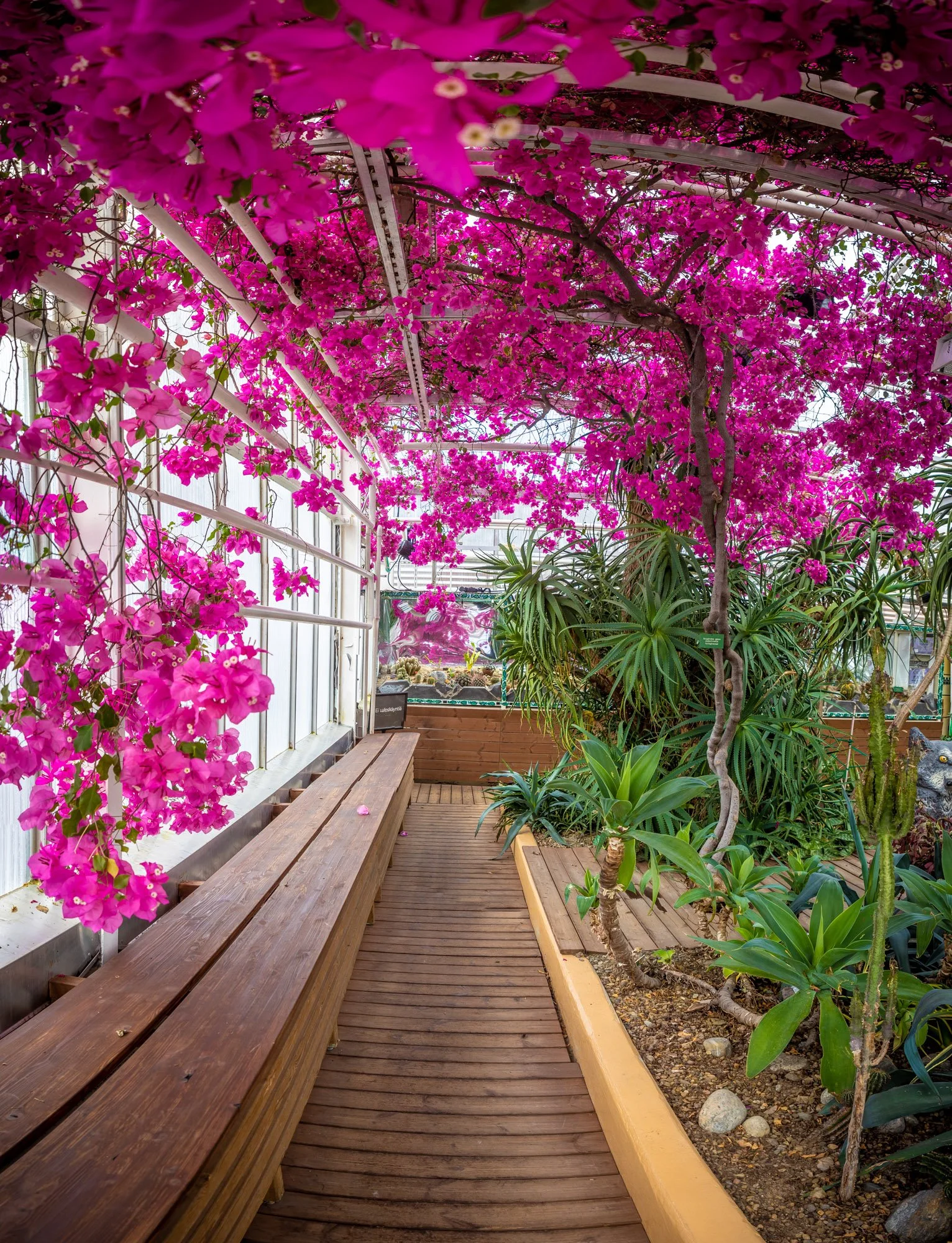 Galleria — Botania Joensuu