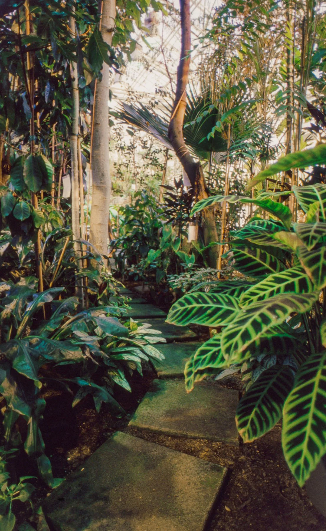 Botania Joensuu | Kasvitieteellinen puutarha & elämyksiä ympäri vuoden