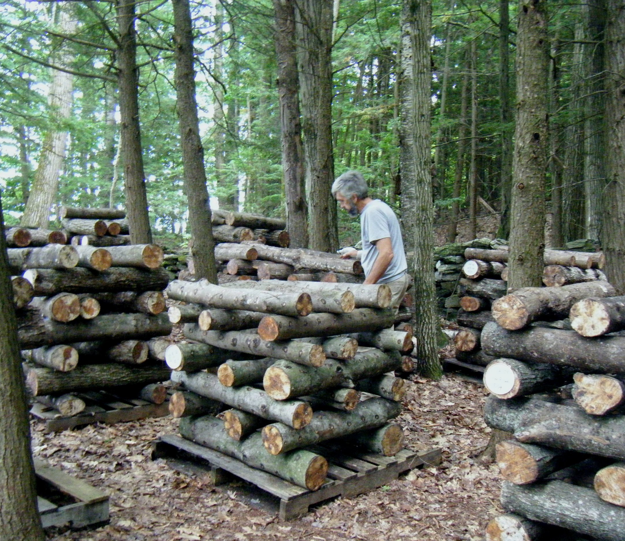 How We Farm — Bascom Farm