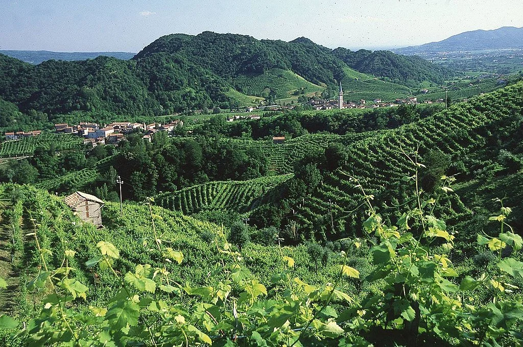Veneto - Vineyards | Luxury Trips & Custom Travel Experiences | Clen Travel