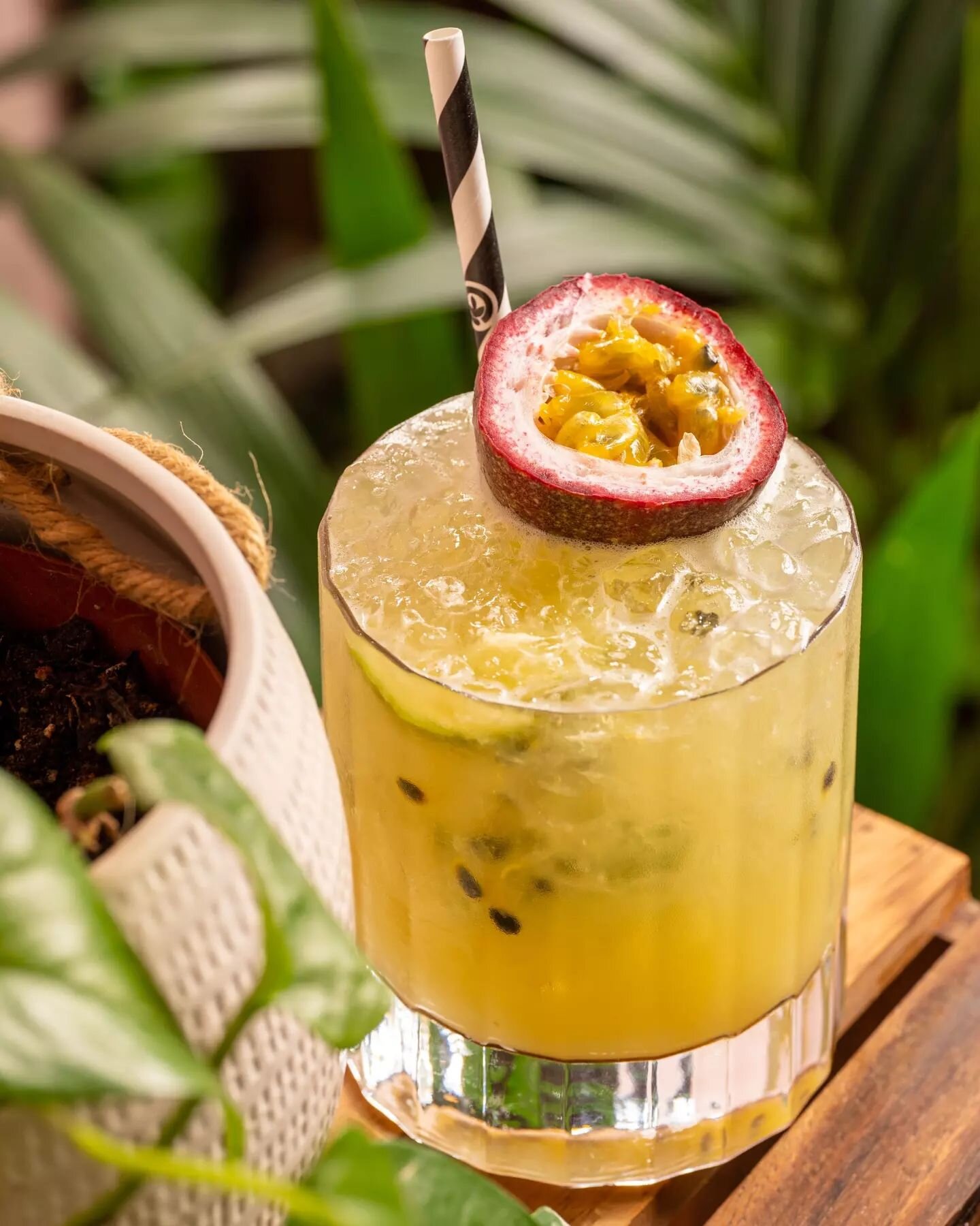 Cocktail Bar & Restaurant Glebe | The Charlie Glebe