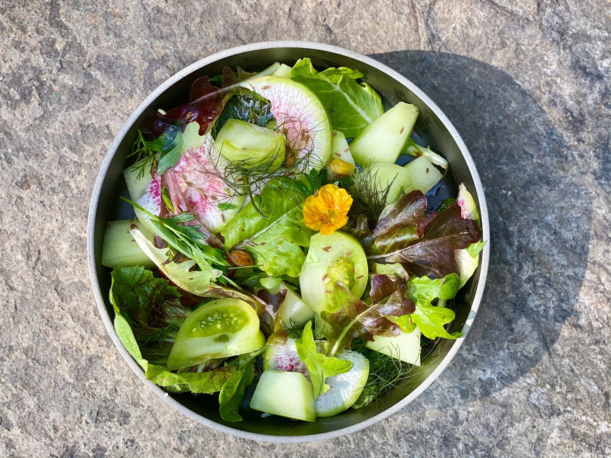 About — HELLO PALATE