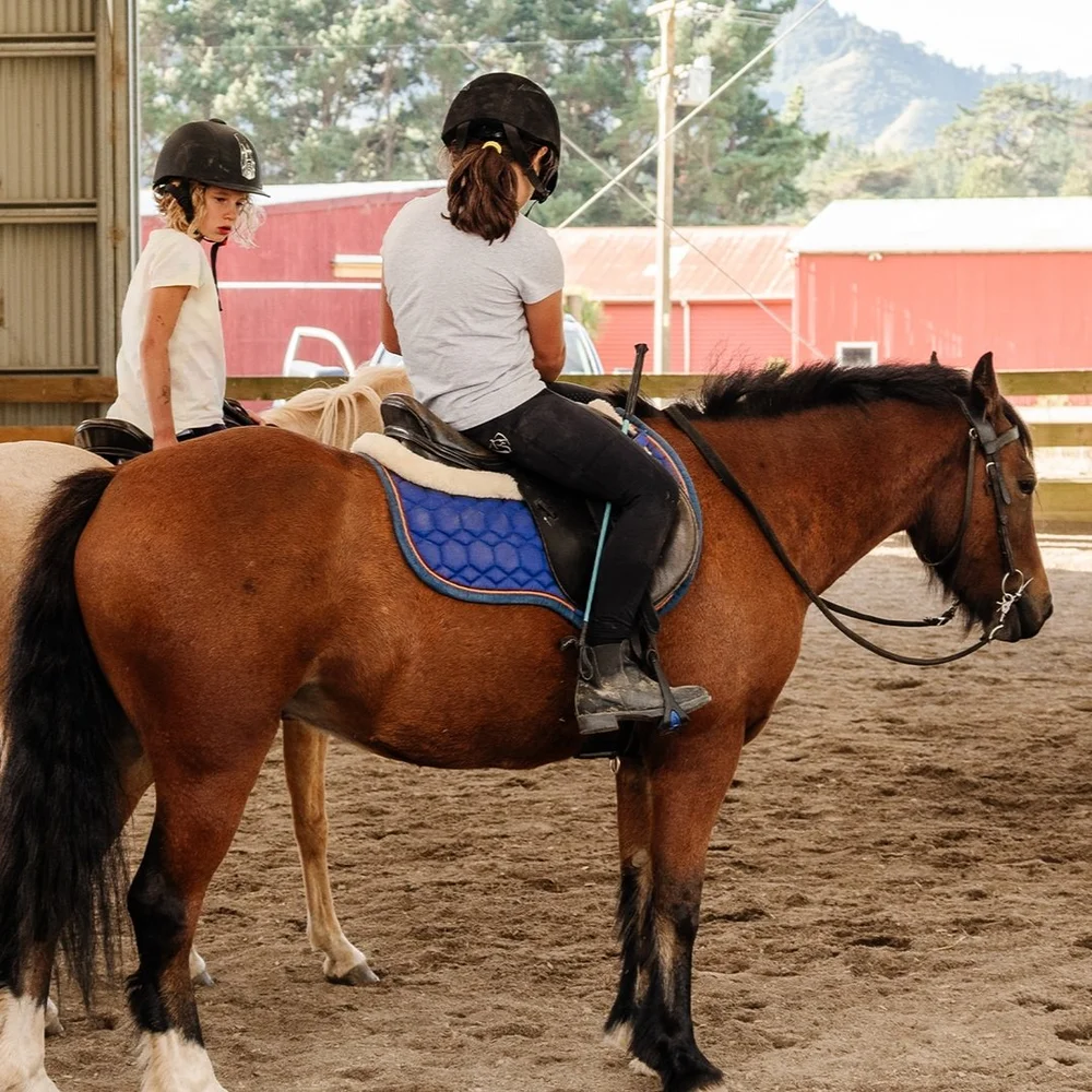 Riding Lessons — Pony Tales Riding School