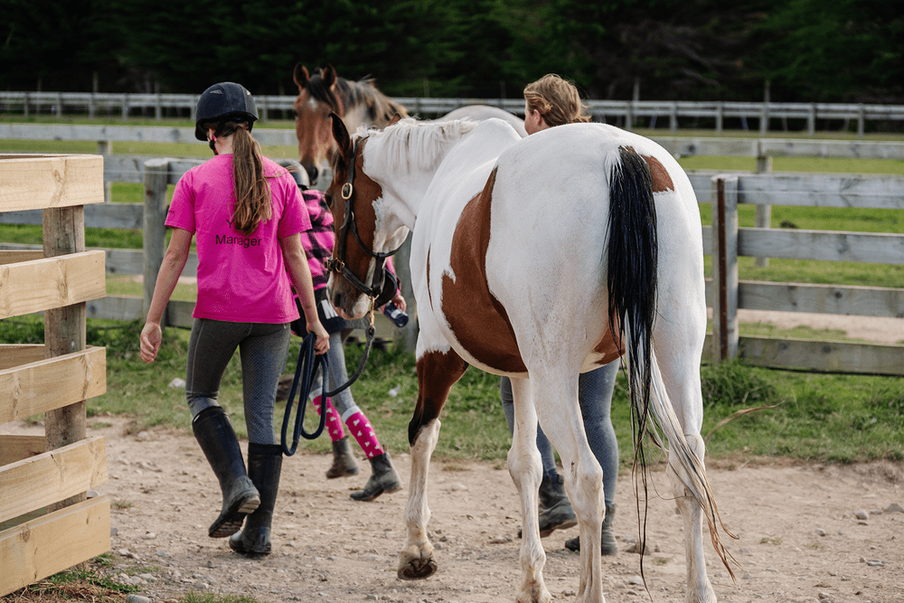 School Holiday Programmes — Pony Tales Riding School