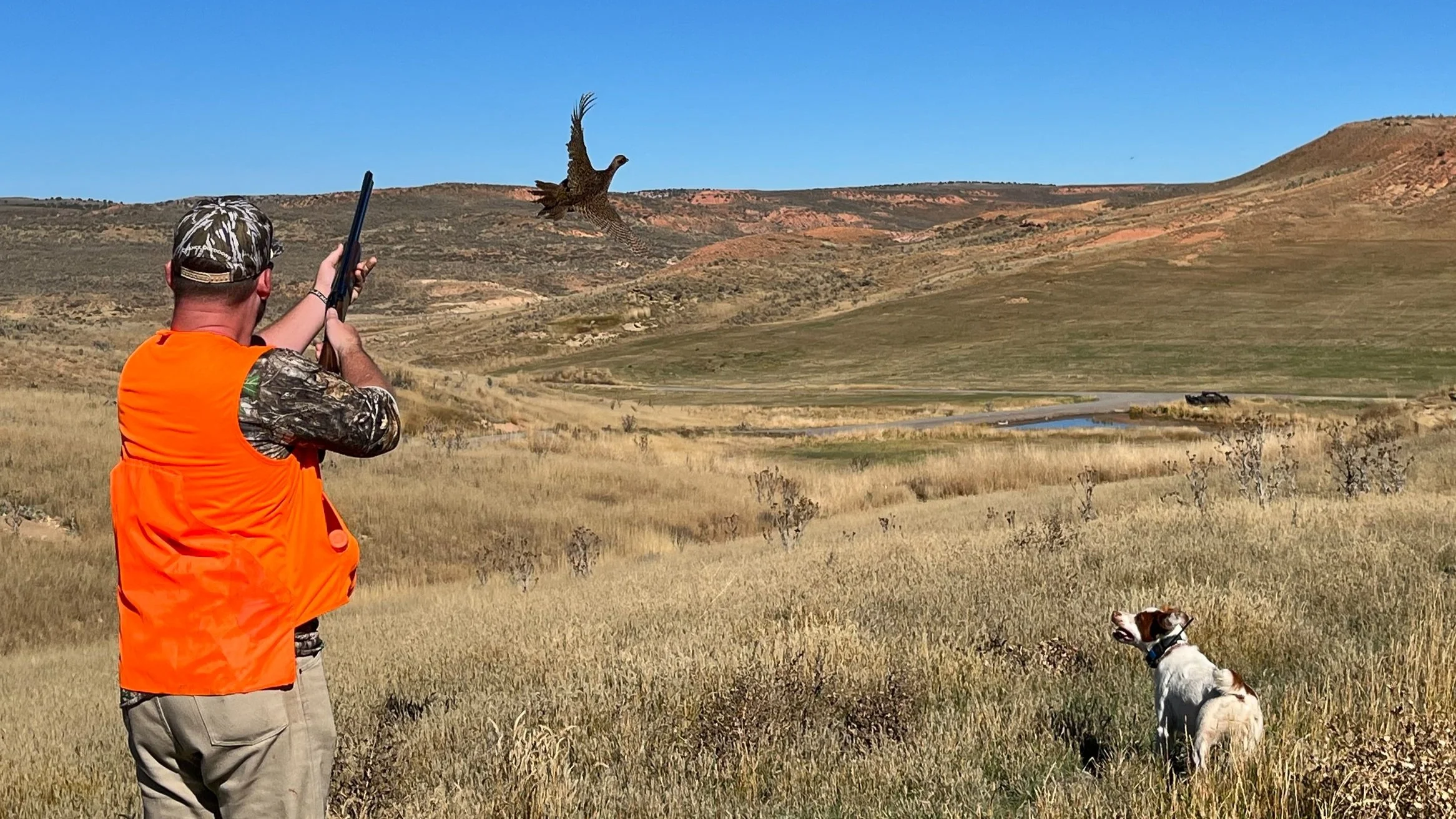 Park City Fly Fishing Guide Trips