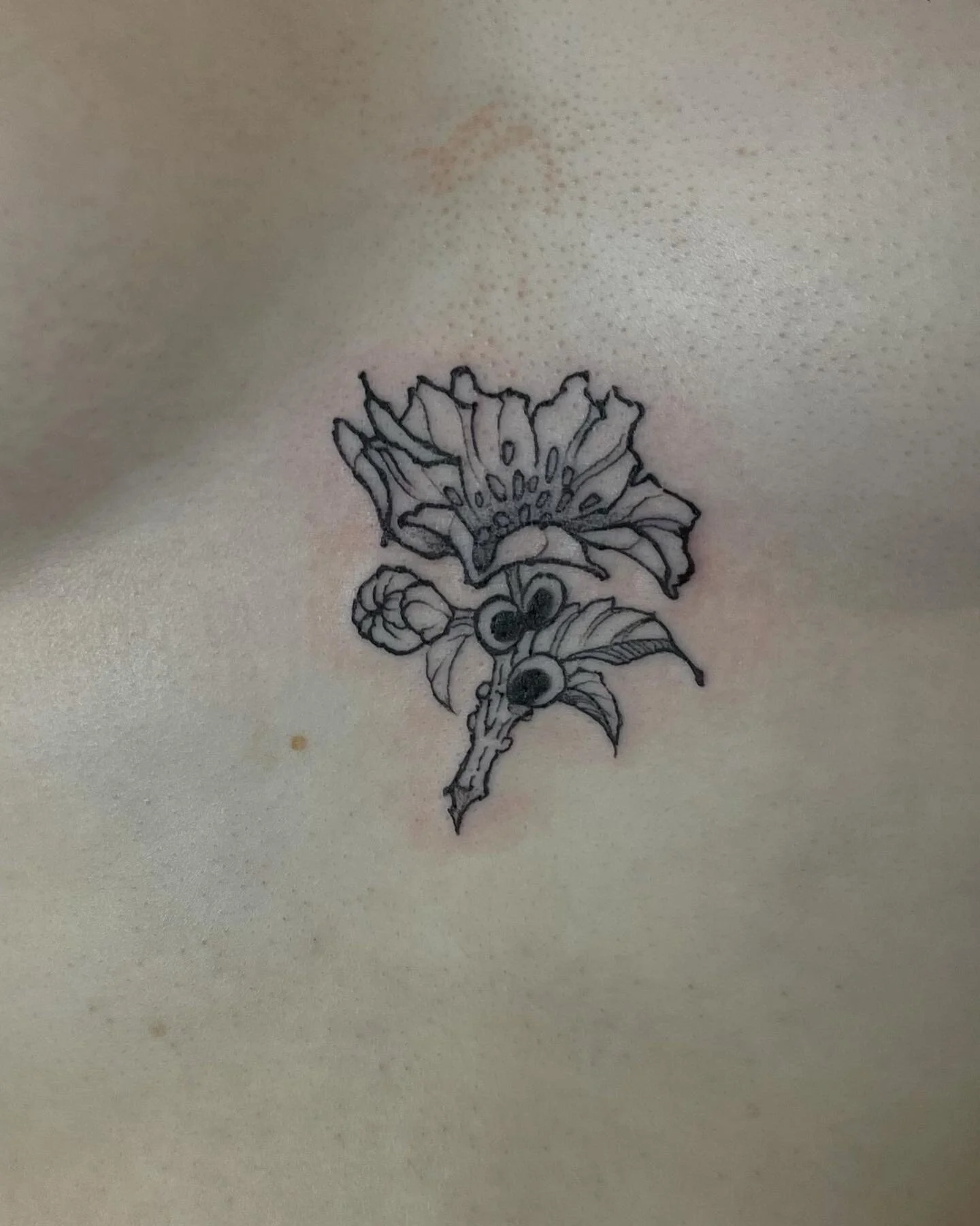 Tattoo Portfolio — Mandy Tsung