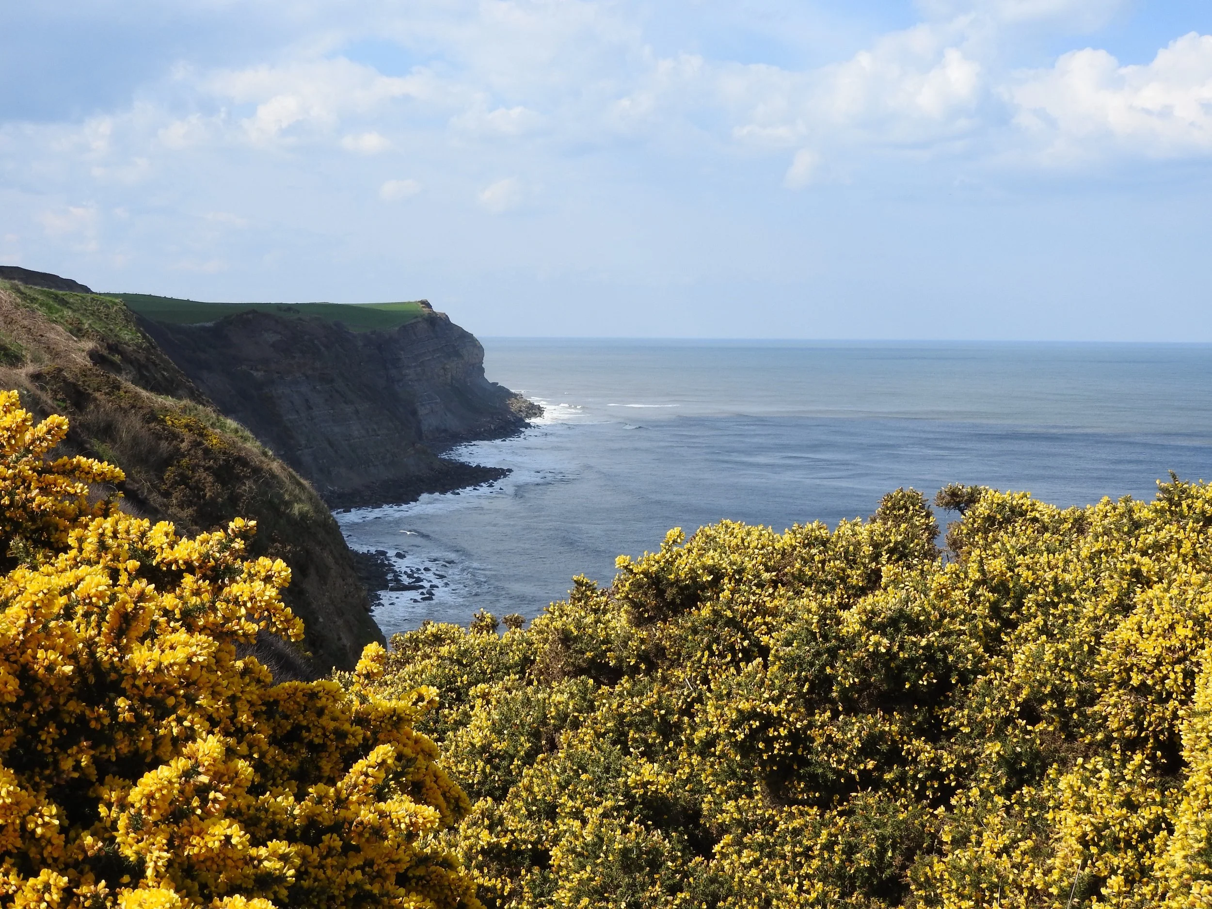 Things To Do In Whitby | Whitby Holiday Park