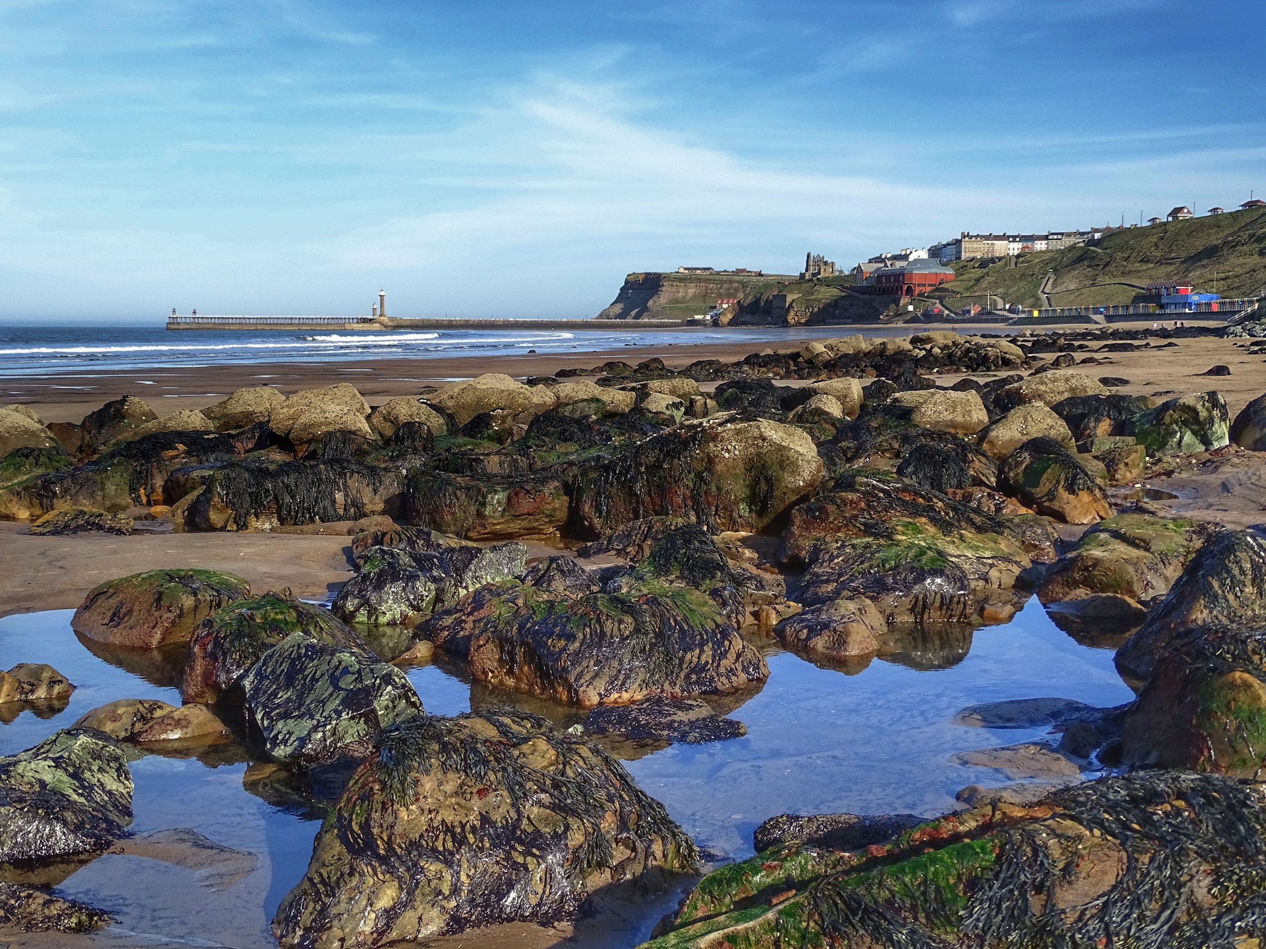 Things To Do In Whitby | Whitby Holiday Park