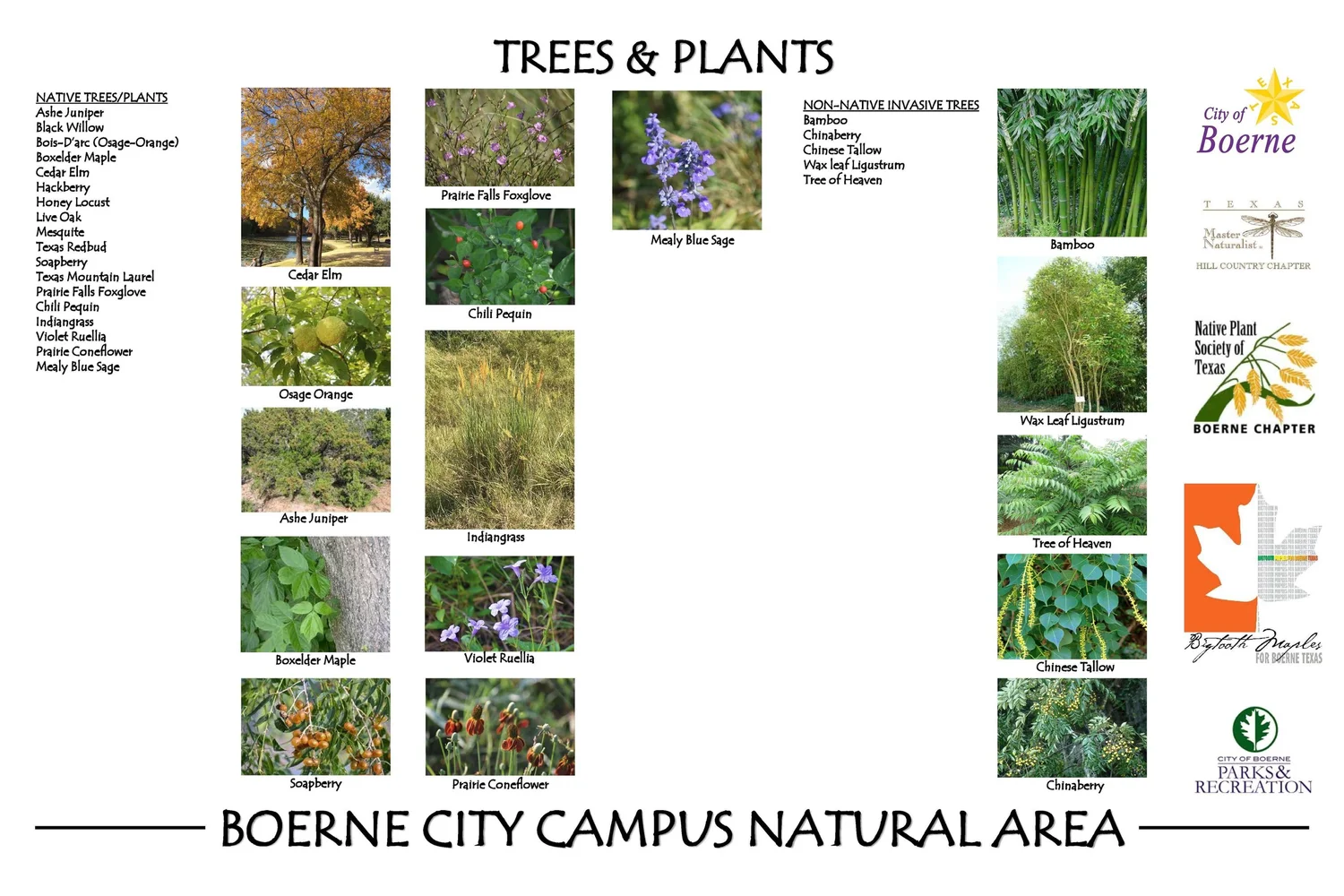 Boerne City Campus Natural Area — Boerne Parks Association
