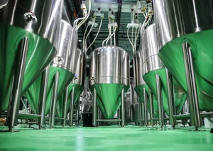 About — Precarious Beer Project