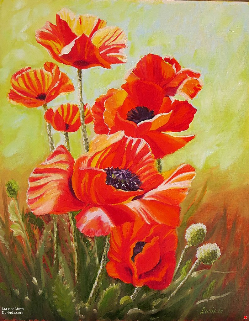 Andiamo Experiences — Andiamo Lodge