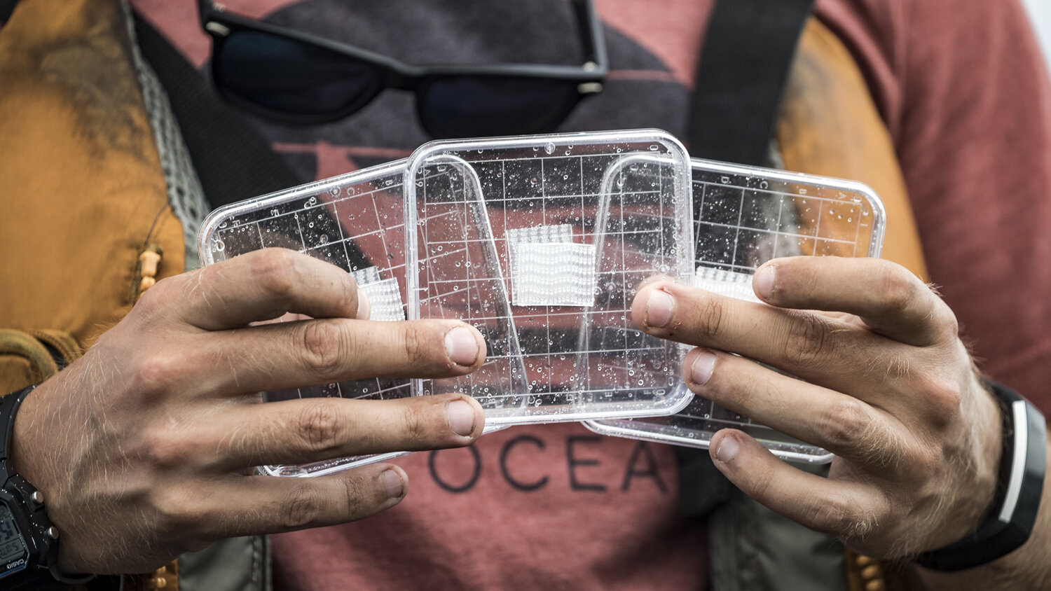 The Network: Dr. Iain Kerr — Parley