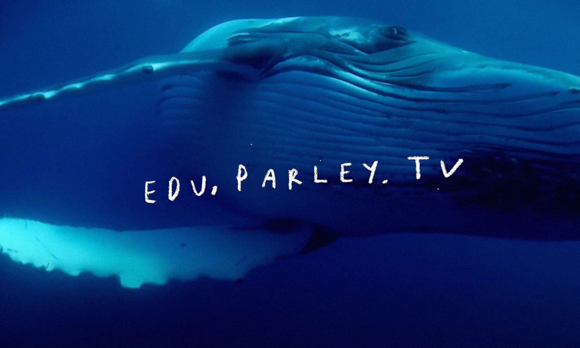 Initiatives — Parley