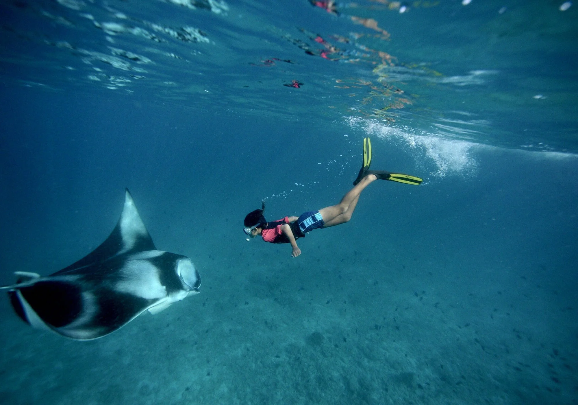 Ocean School Miami — Parley