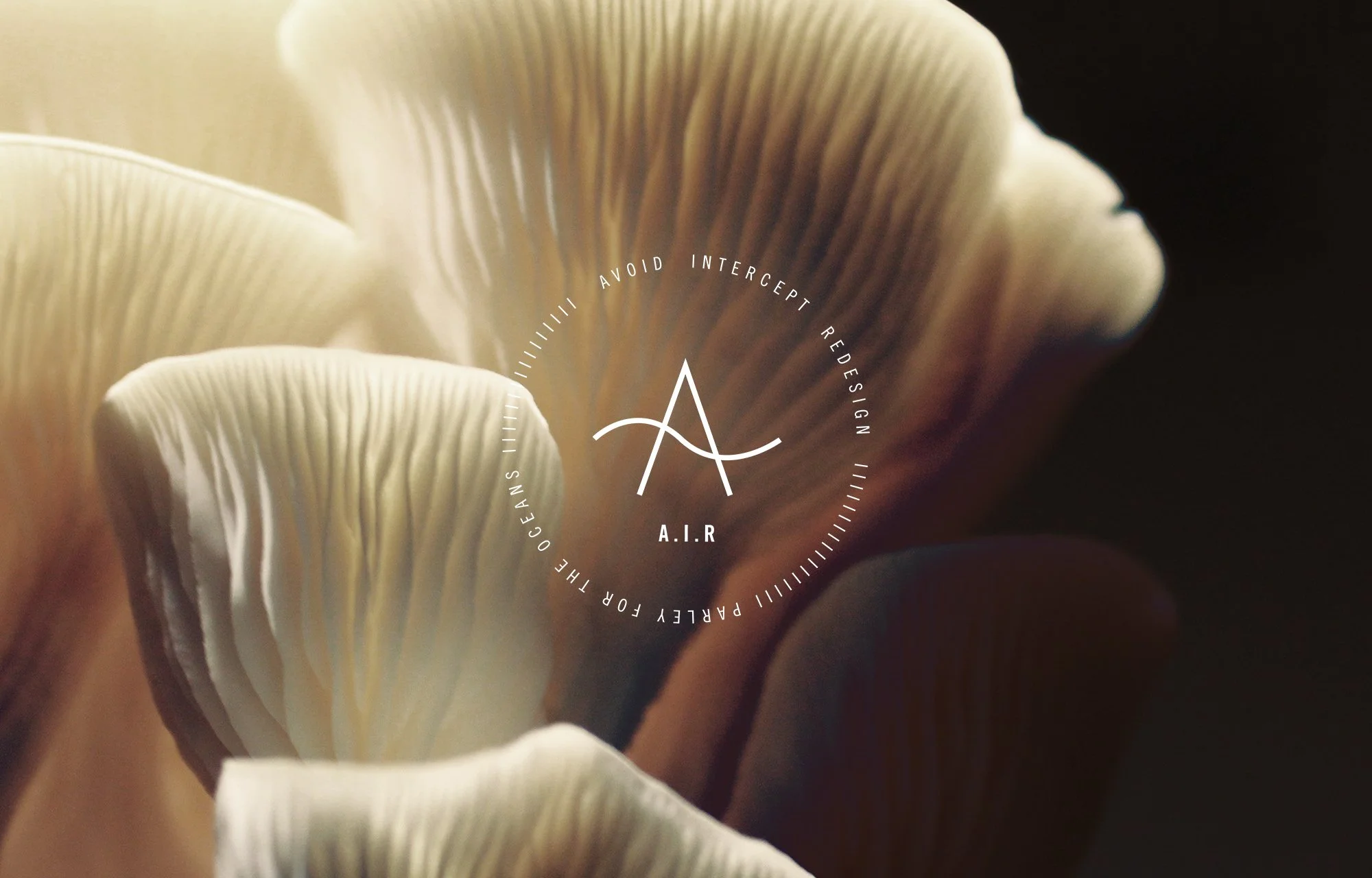 Future Material — Parley
