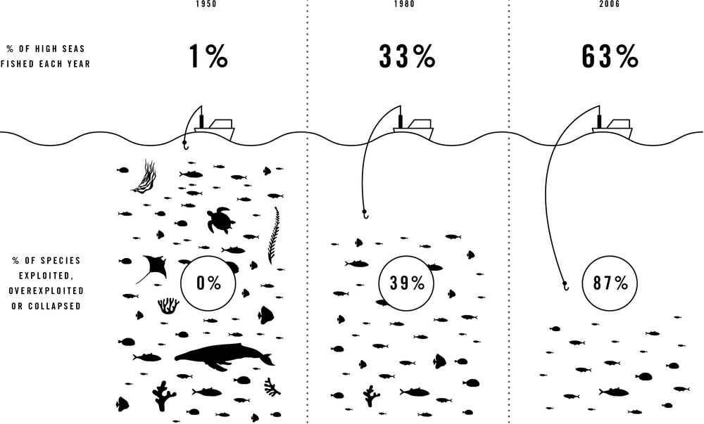 Biodiversity Loss — Parley