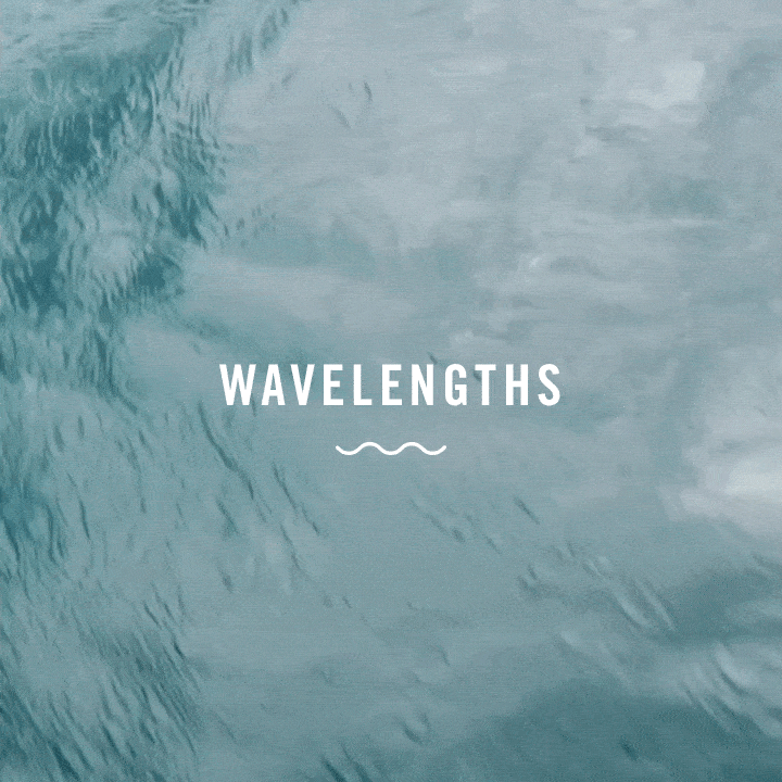 Wavelengths Newsletter — Parley