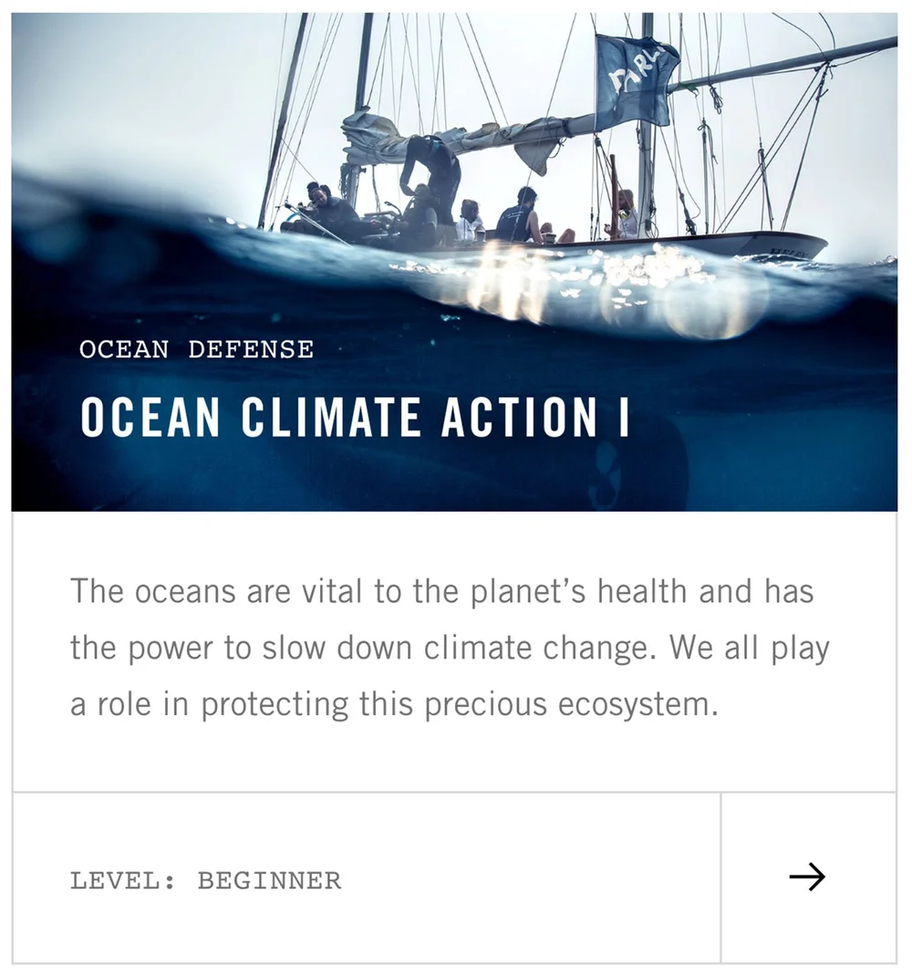Parley Ocean School ONLINE — Parley — Parley