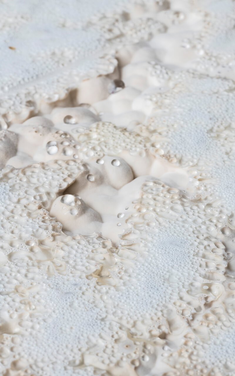 How SQIM is using mycelium in fashion and interior design — Parley