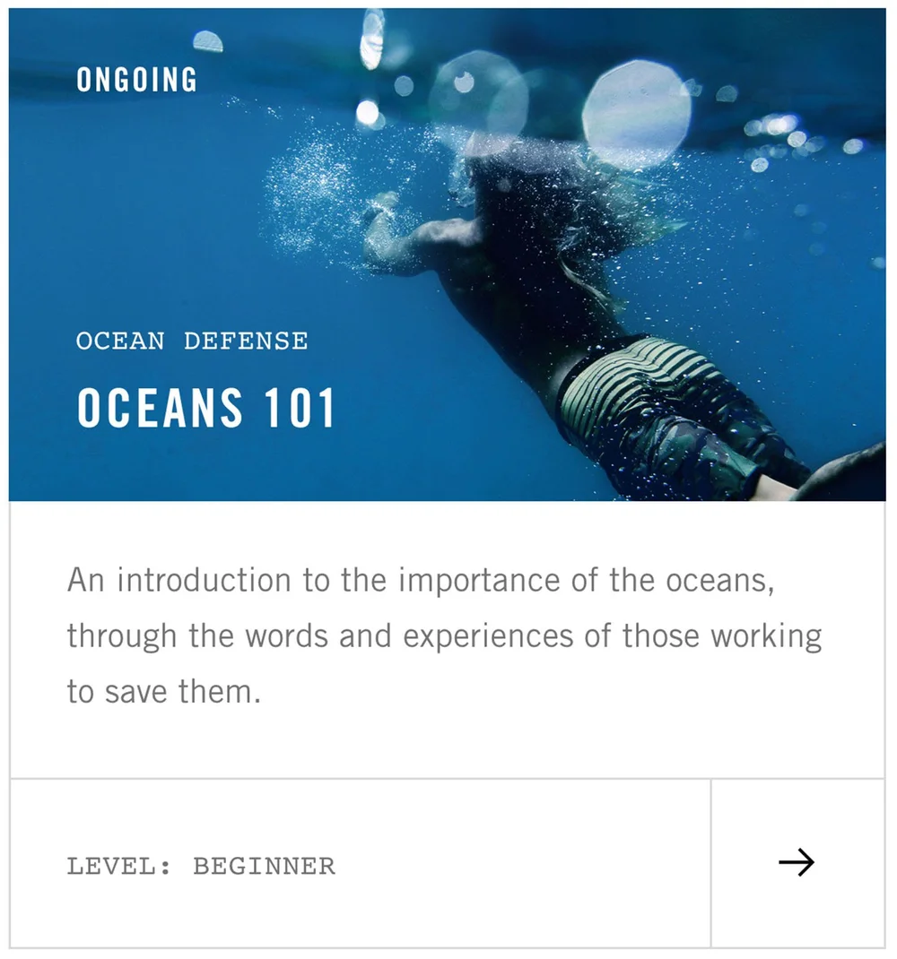 Parley Ocean School ONLINE — Parley — Parley