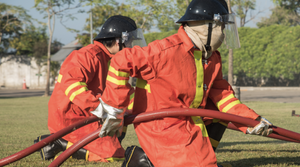 Understanding How Fire Sprinklers Work: A Guide to Fire Sprinkler ...