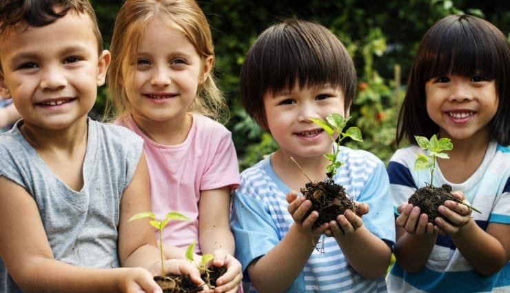 Why Sustainable Schools? — The Green Schools Alliance