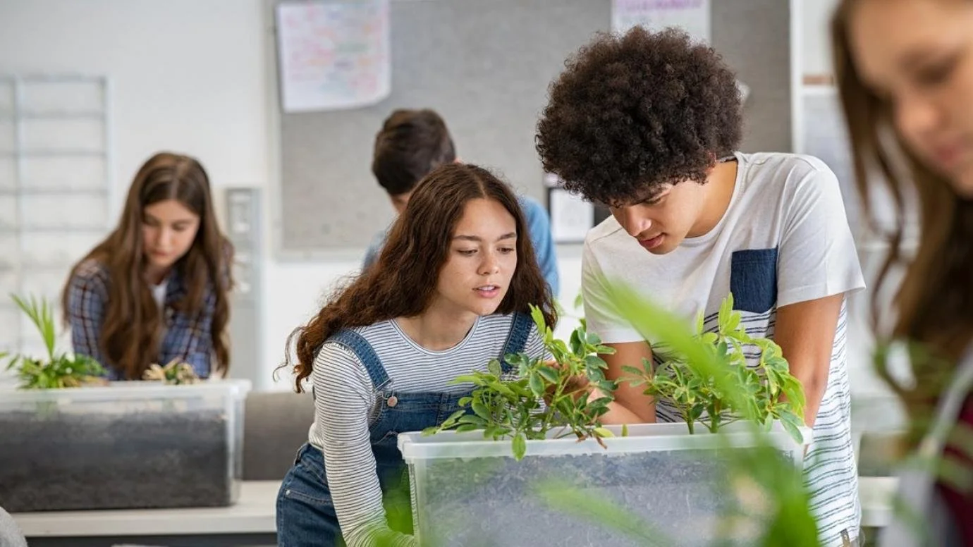 Why Sustainable Schools? — The Green Schools Alliance