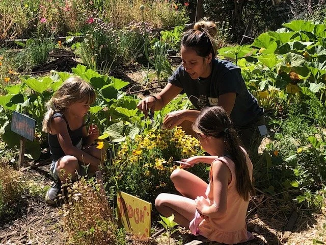 The Power of School Gardens — The Green Schools Alliance