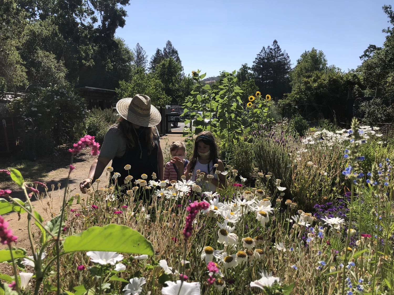 The Power of School Gardens — The Green Schools Alliance