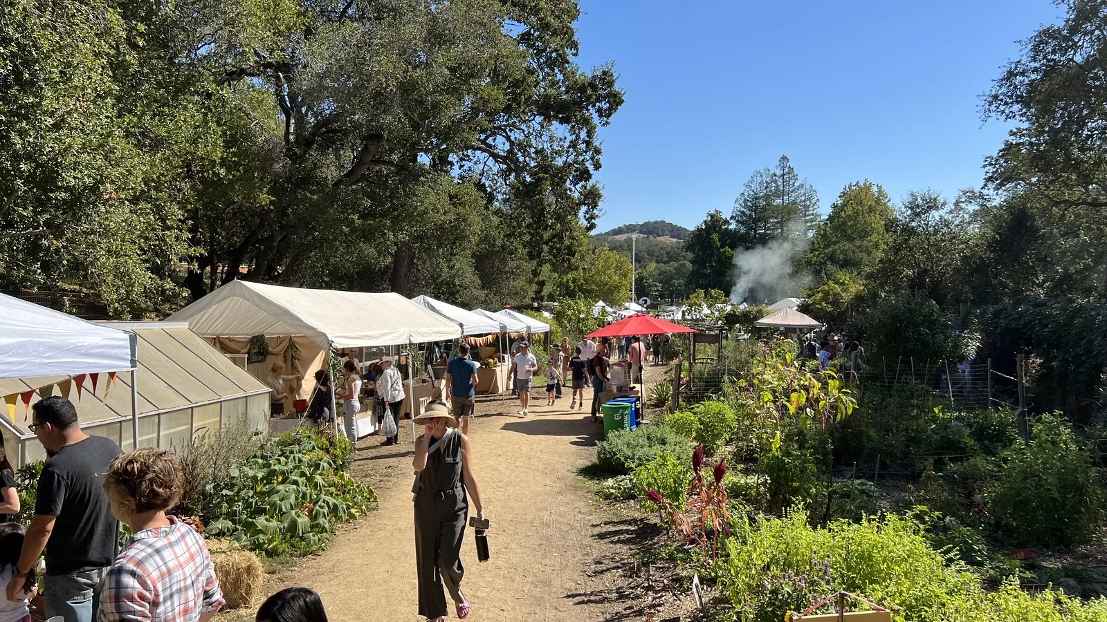 The Power of School Gardens — The Green Schools Alliance