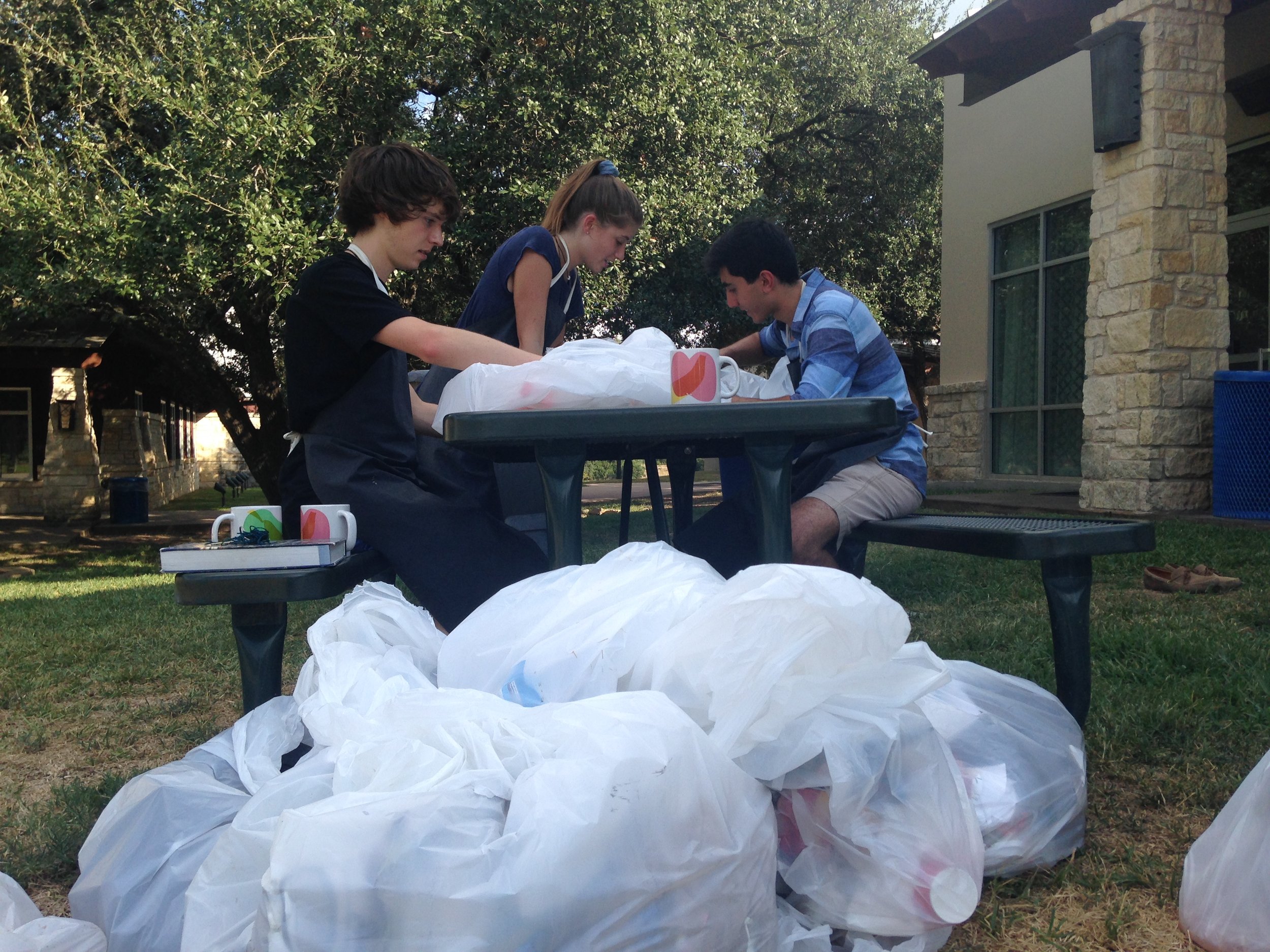 Lessons in Launching School Sustainability Programs — The Green Schools ...