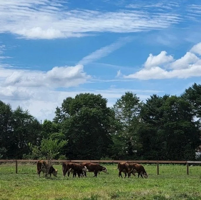 About — Medford Cattle Farms